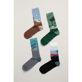 Box of 4 Scenic Sailor Socks | Seasalt Cornwall - Seasalt Cornwall